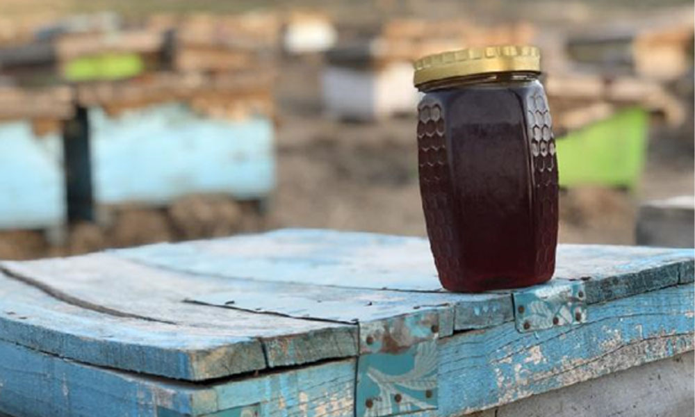 Afganistan'ın Kandahar vilayetinde bir arı çiftliği - Lotus News